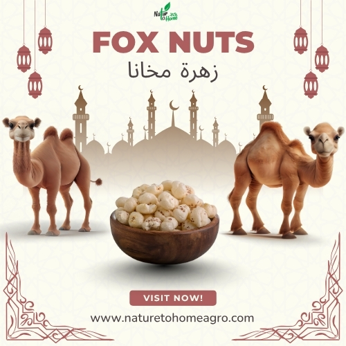 Bulk Makhana Supplier in India | Nature To Home Agro UAE Exporter